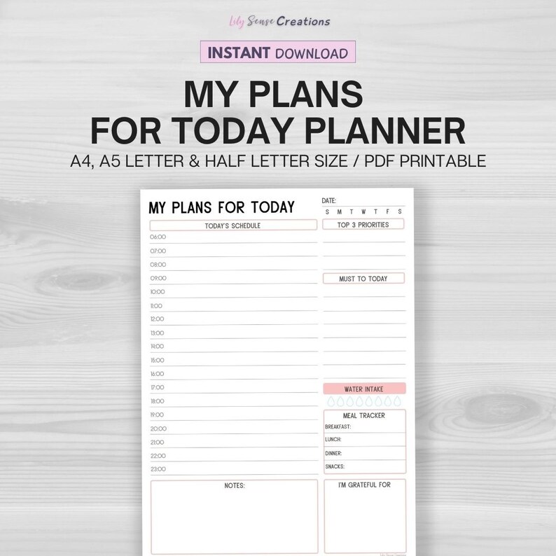 Undated Daily Printable Planner, My Plans for Today Planner Sheet ...