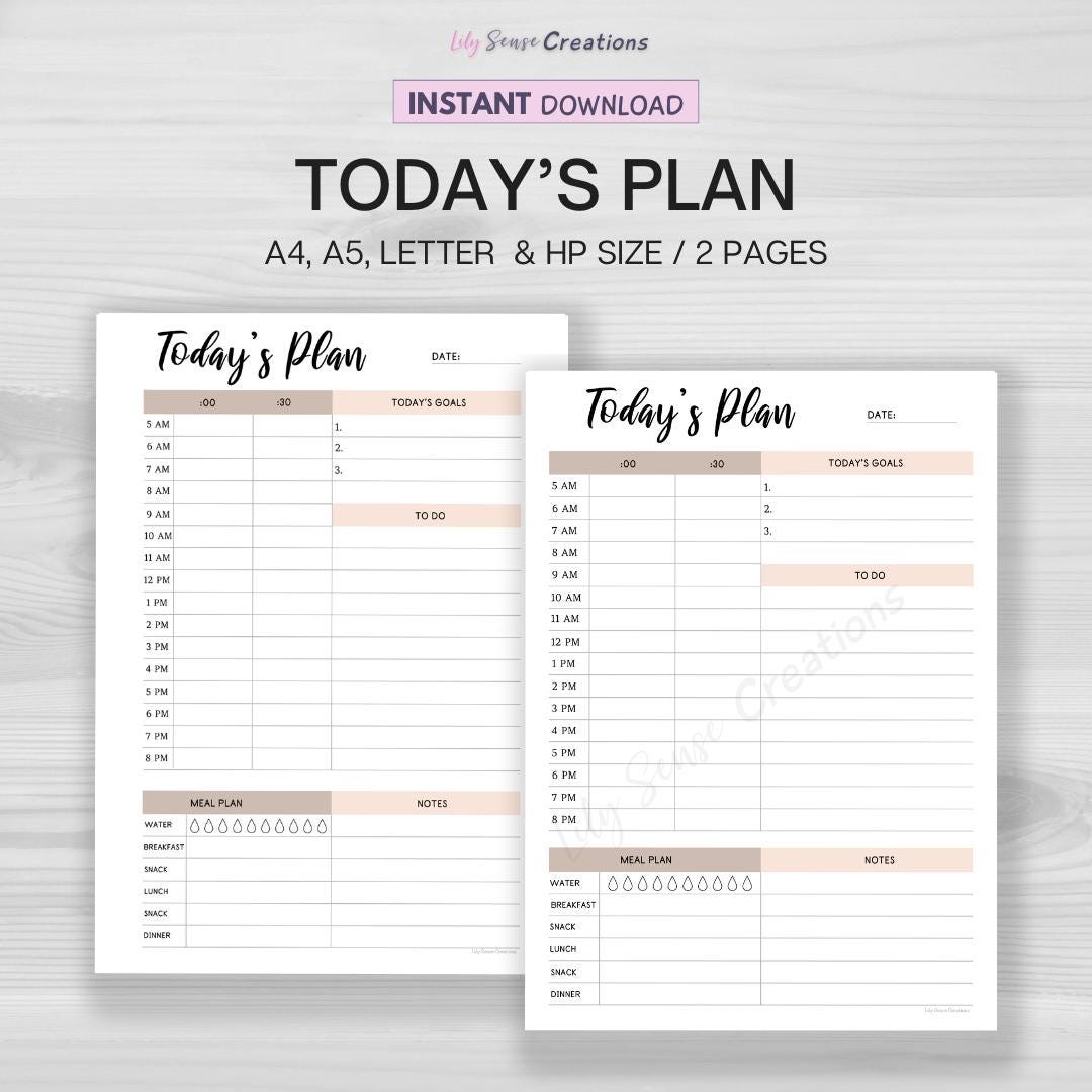 Daily Planner Printable, Today's Plan Template, Plan Your Day Page ...