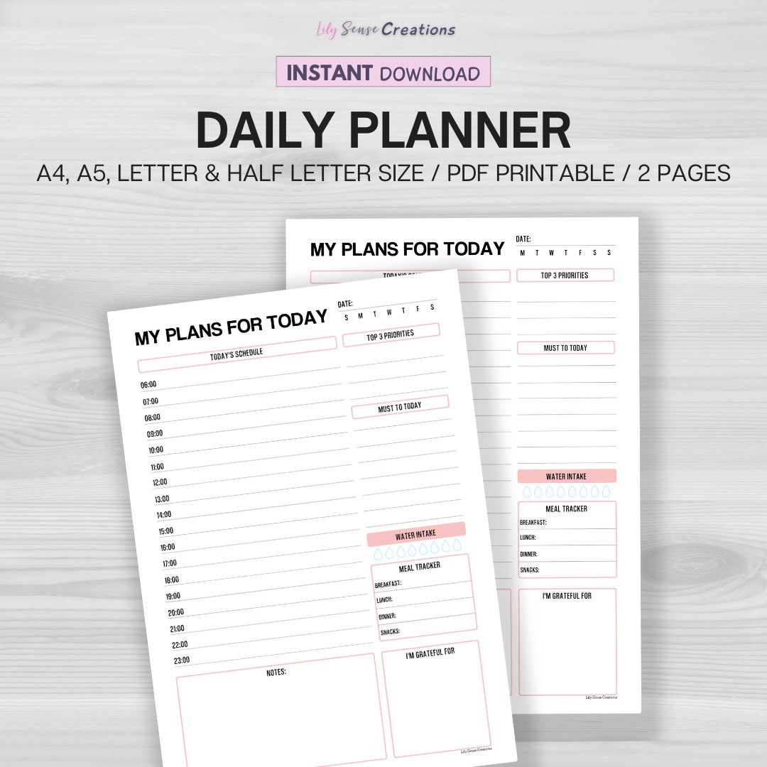 Undated Daily Printable Planner, My Plans for Today Planner Sheet ...