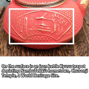 Nambu Tekki Iron Kettle Kyusu Teapot Chusonji Gold/red 300ml - Etsy
