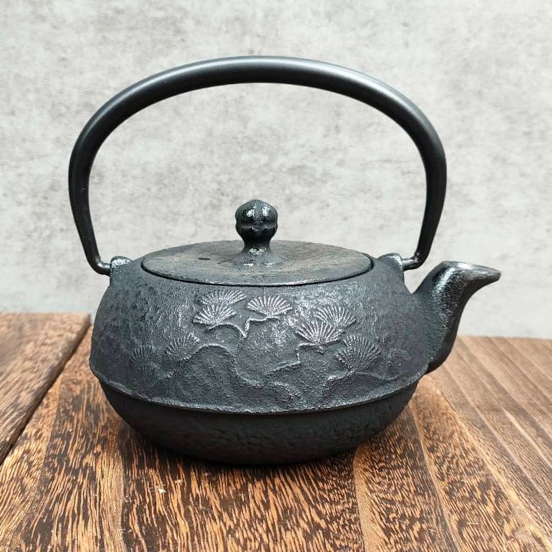 Nambu Tekki Iron Kettle Kyusu Teapot Flat Round Pine 300ml Made in Japan - Etsy