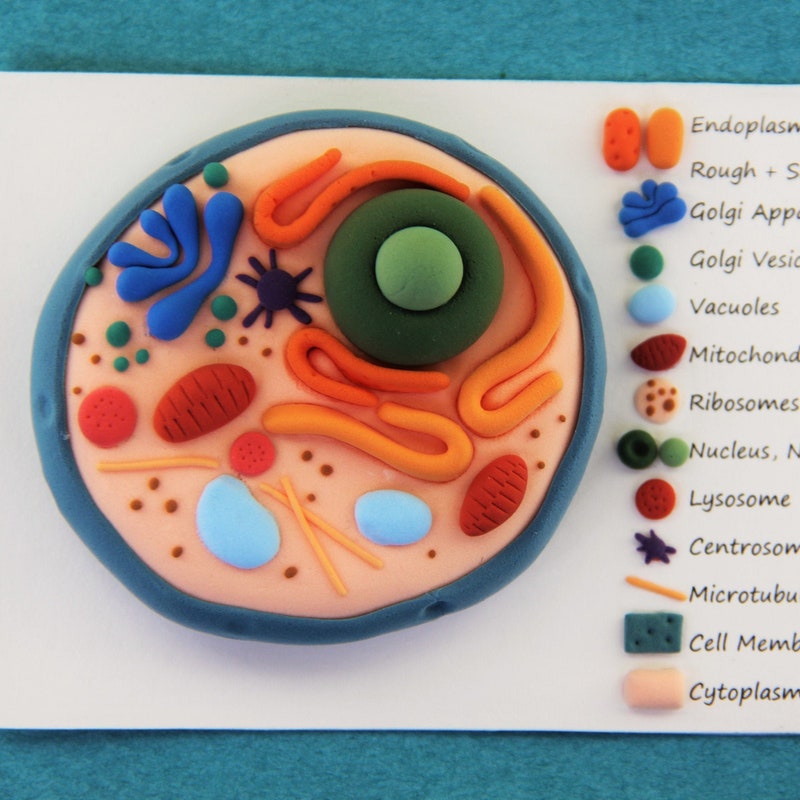 Human Cell Art - Etsy