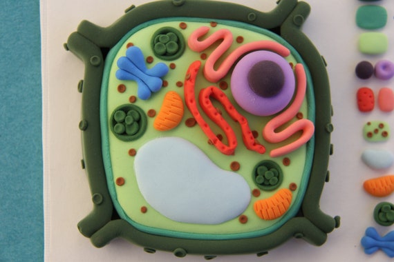 Simple Plant Cell Cake