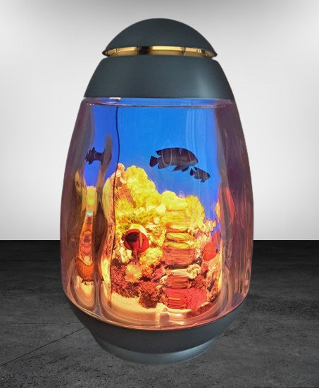 VTG Rotating Salt Water Fish Aquarium Night Light/accent Lamp, 3-D ...