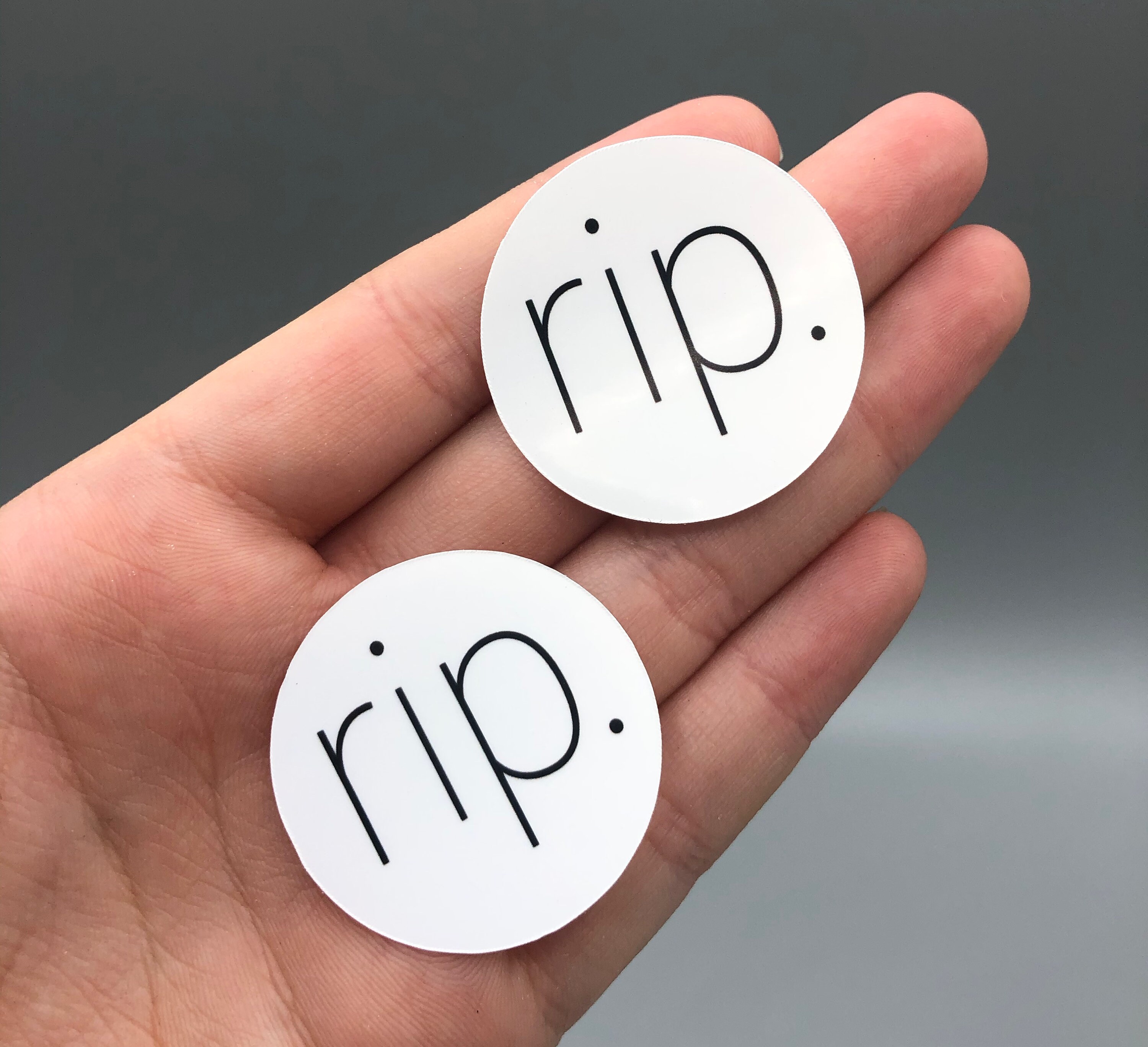 SET OF TWO rip funny meme glossy vinyl sticker decal aesthetic | Etsy