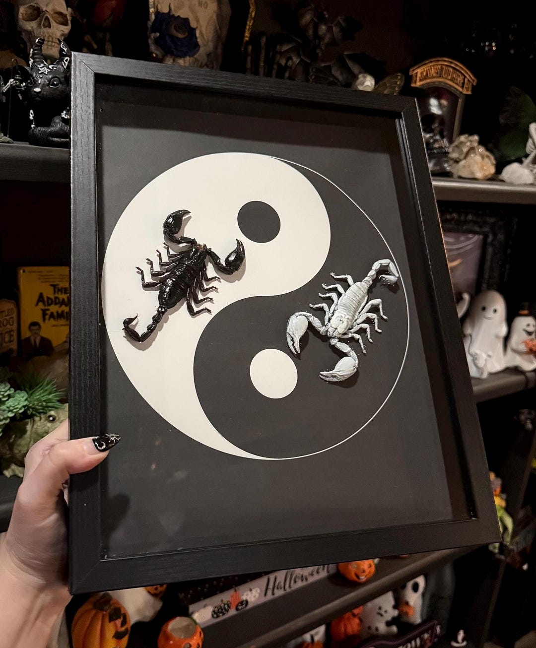 Real Dual Giant Scorpion Entomology Wall Decor Art, Moody Wall Decor ...