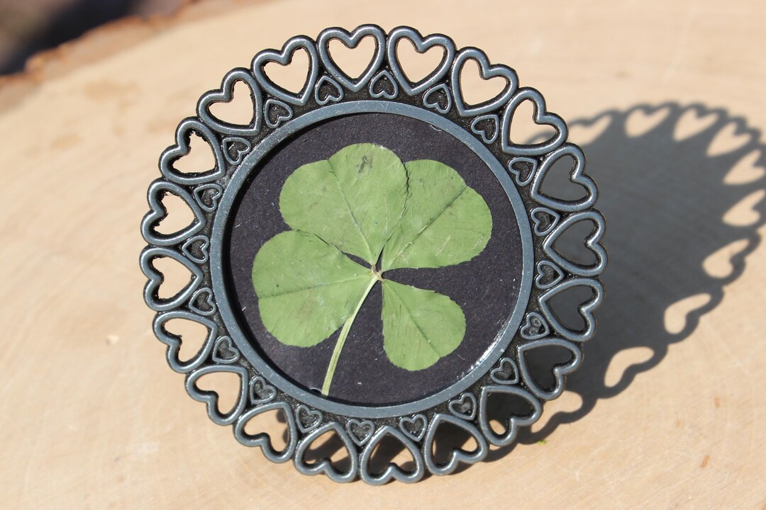 Real Four Leaf Clover in Mini Ornate Frame – Lucky Charm | Dried ...