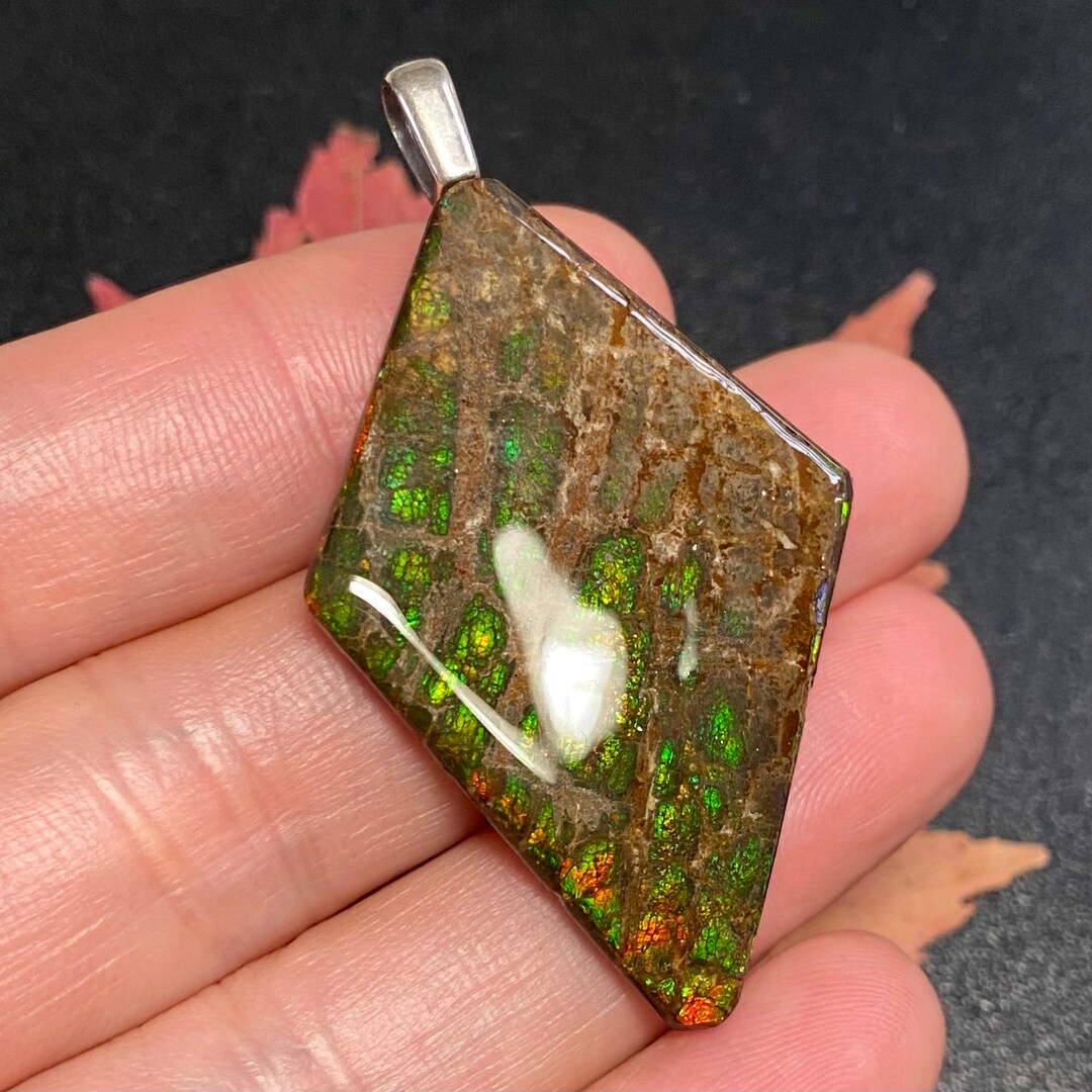 Canadian Ammonite Freeform Gemstone Pendant 46X31 Mm Silver #2855-44 - Etsy