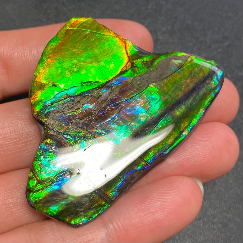 Gemstones Craft Supplies & Tools Canadian Ammonite Freeform Gemstone ...