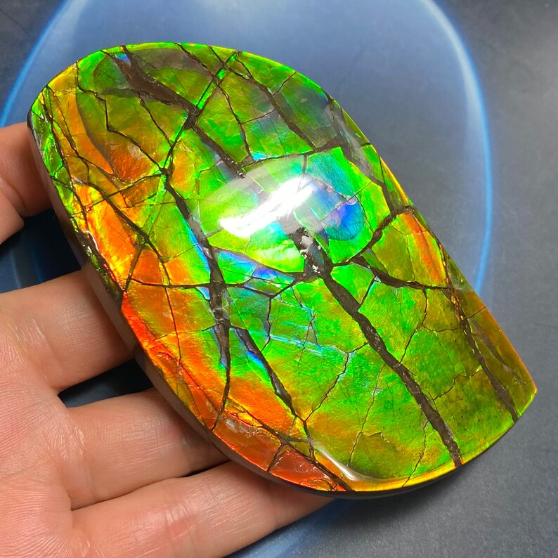 Canadian Ammolite Ammonite Freeform Gemstone 108X60X14 MM 194 Grams ...