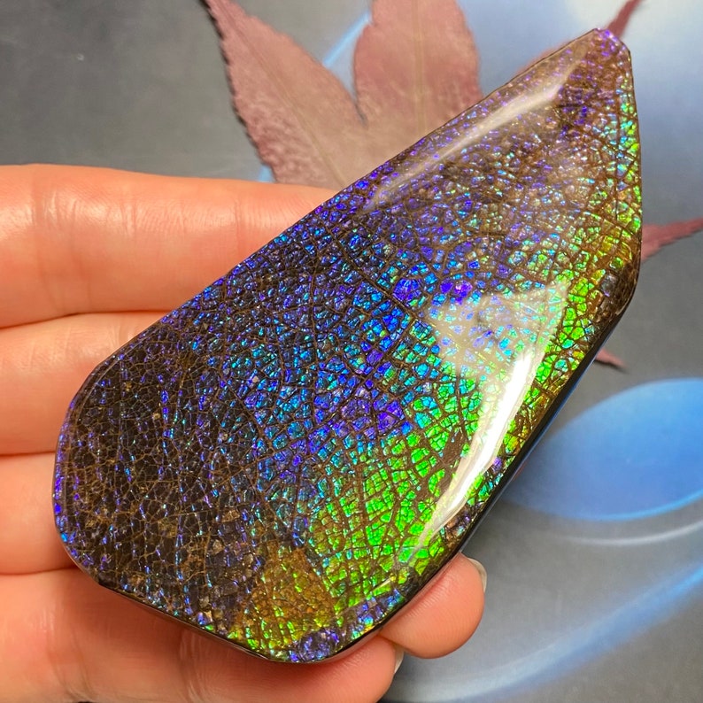 Canadian Ammolite Ammonite Freeform Gemstone 93X44X11 MM 89 Grams #3010 ...