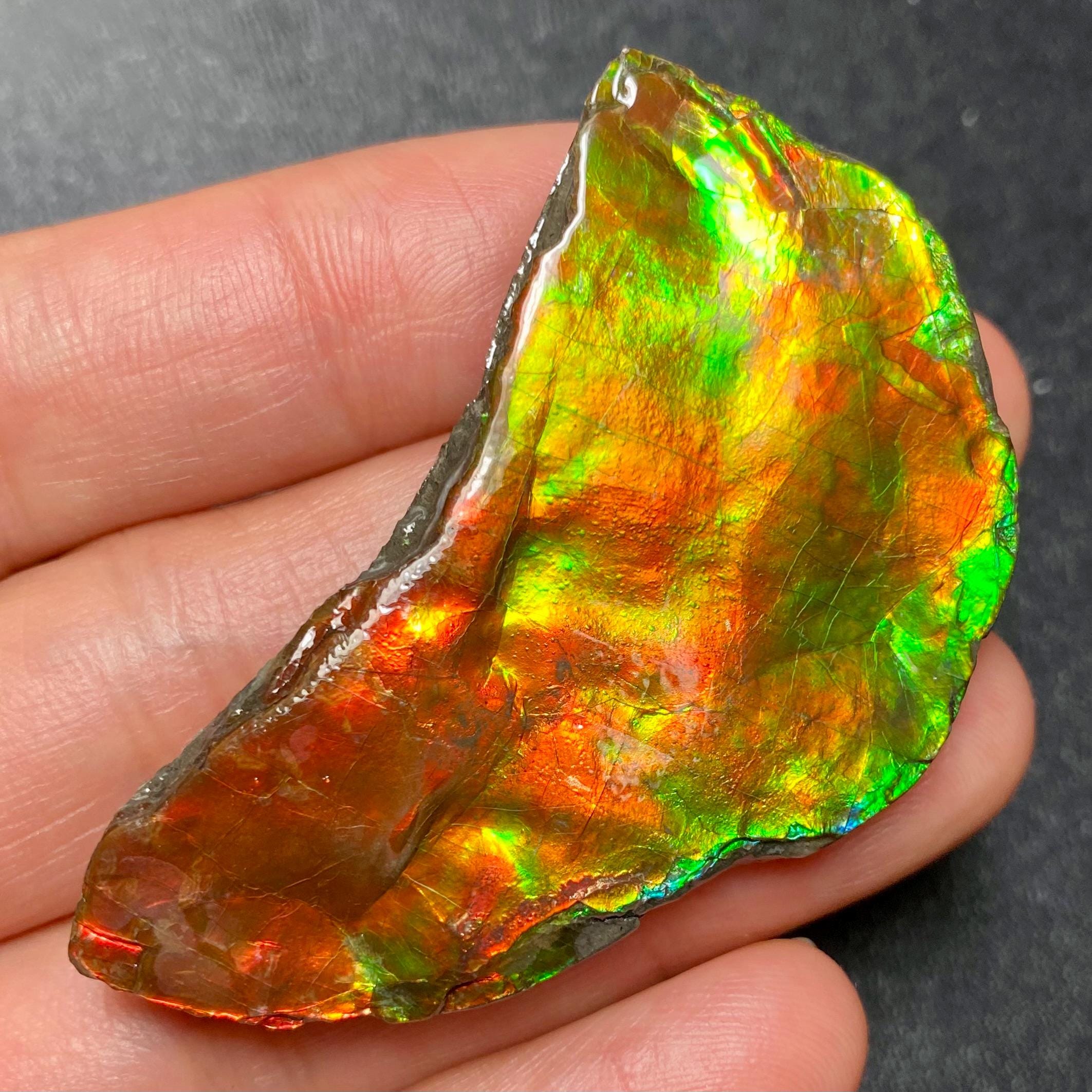 One-of-a-kind Canadian Ammolite – Fiery Red & Neon Green Freeform ...