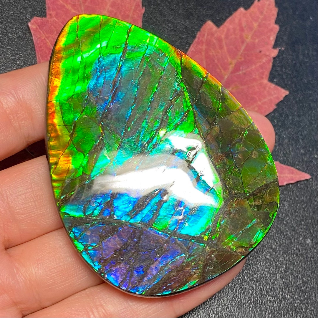 Canadian Ammonite Freeform Gemstone 73X54X12 Mm 88 Grams 2869-16 - Etsy