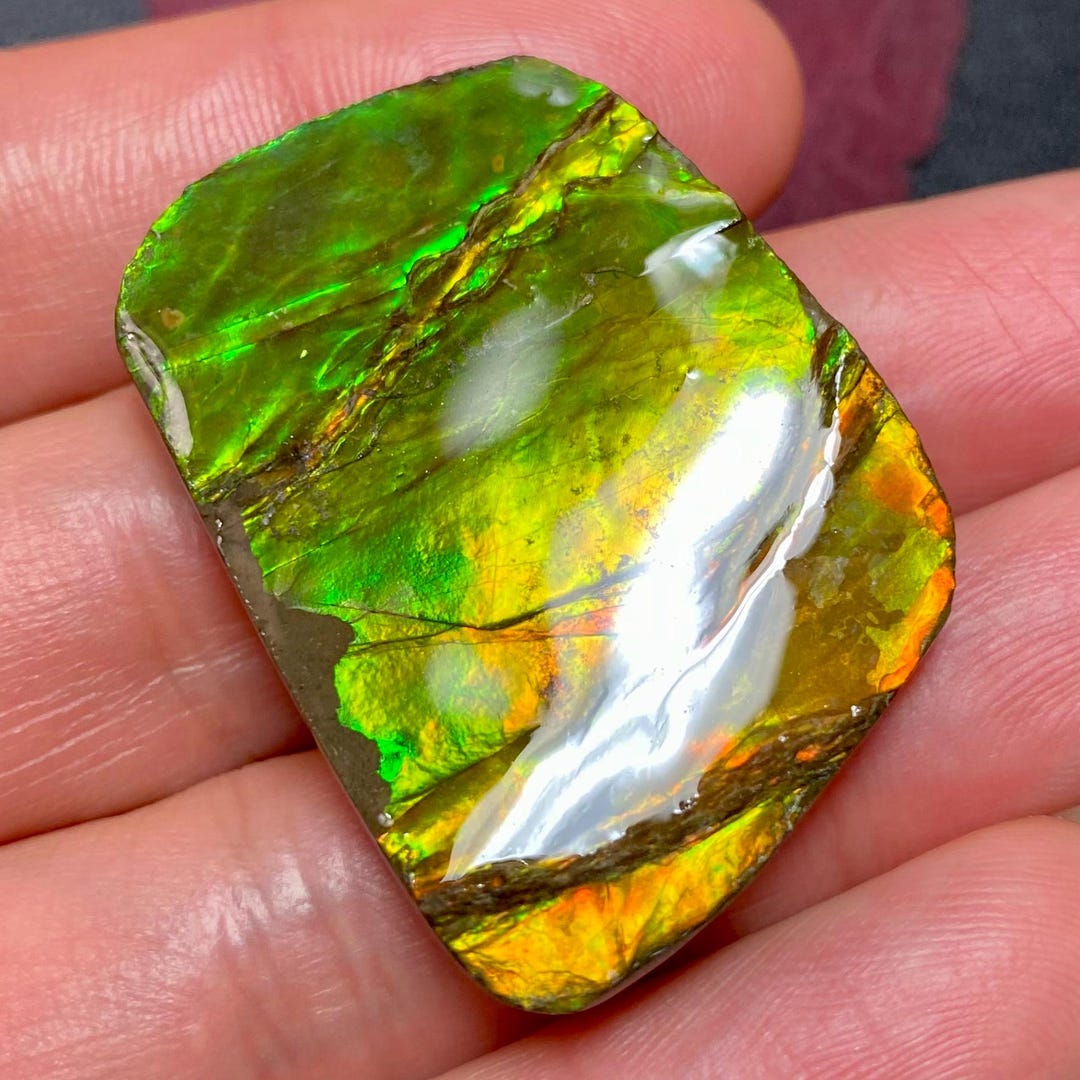 Genuine Ammolite Canadian Ammonite Freeform Specimen Green 38X27 Mm ...