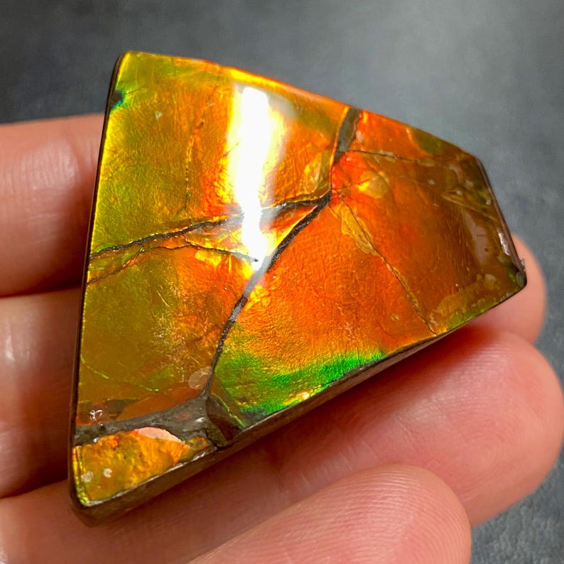 One-of-a-kind Canadian Ammolite – Fiery Red & Neon Green Freeform ...