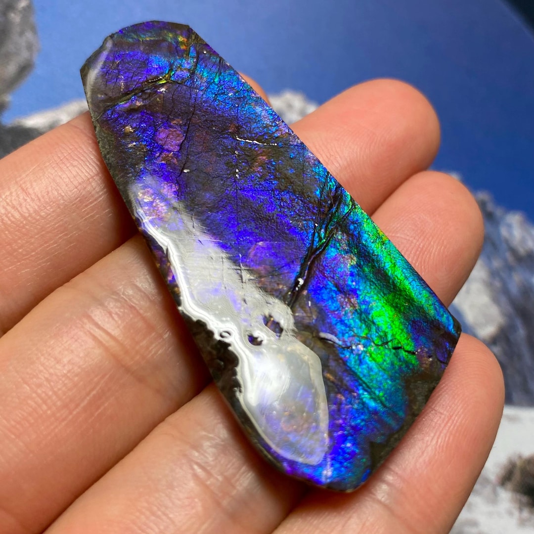 Ammolite Gemstone – Natural Canadian Fossilized Gem Canadian Ammonite ...