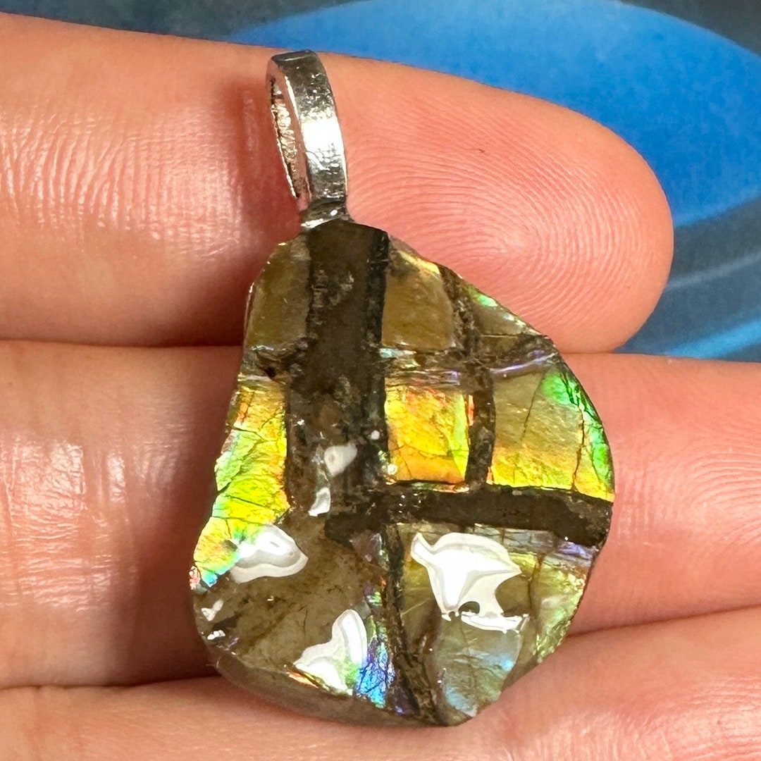 Authentic Canadian Ammonite Freeform Gemstone Pendant 25X20 Mm Small ...