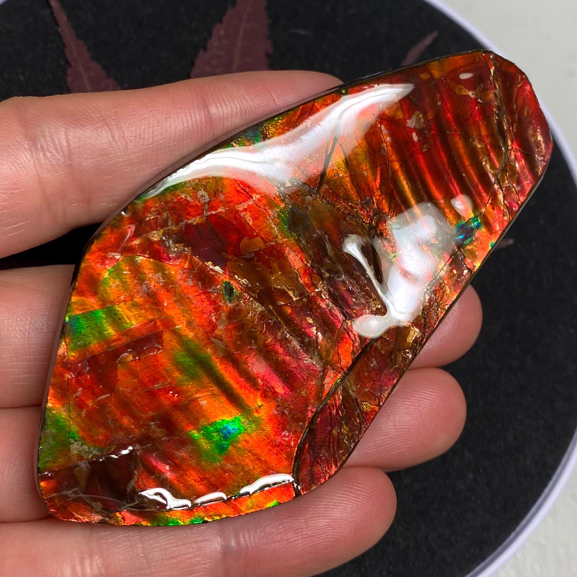 Red Ammolite Cabochon Loose Gemstone, Natural Canadian Ammonite Fossil ...