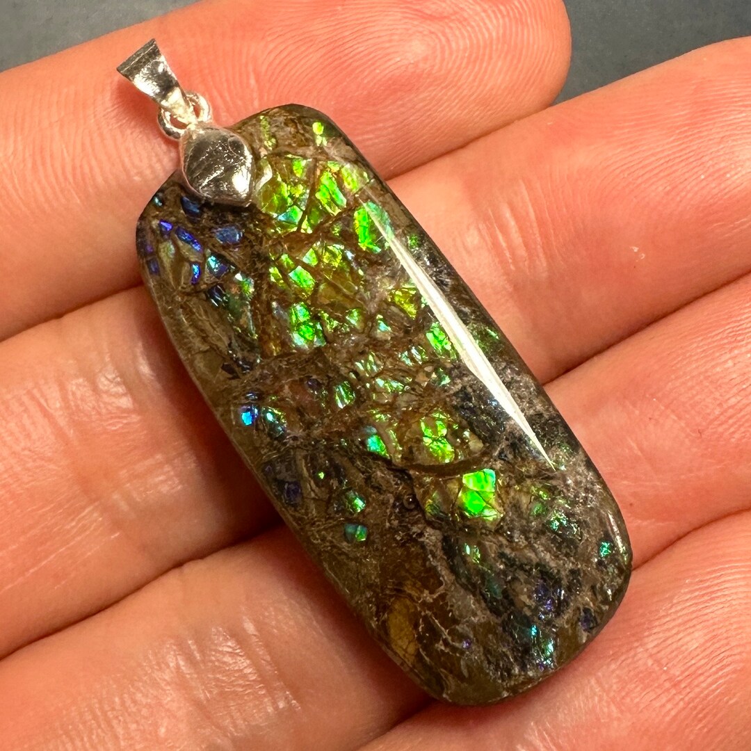 Authentic Canadian Ammonite Freeform Gemstone Pendant 37X16 Mm - Etsy