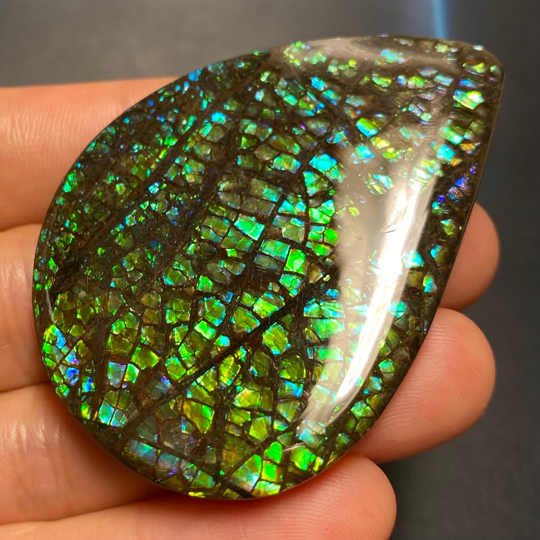Natural Canadian Ammolite Ammonite Freeform Gemstone 60X43 MM #3000-15 ...