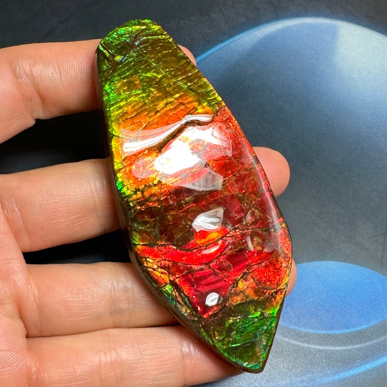 Canadian Ammolite Ammonite Freeform Gemstone 88X40X8 MM 58 Grams #2871 ...
