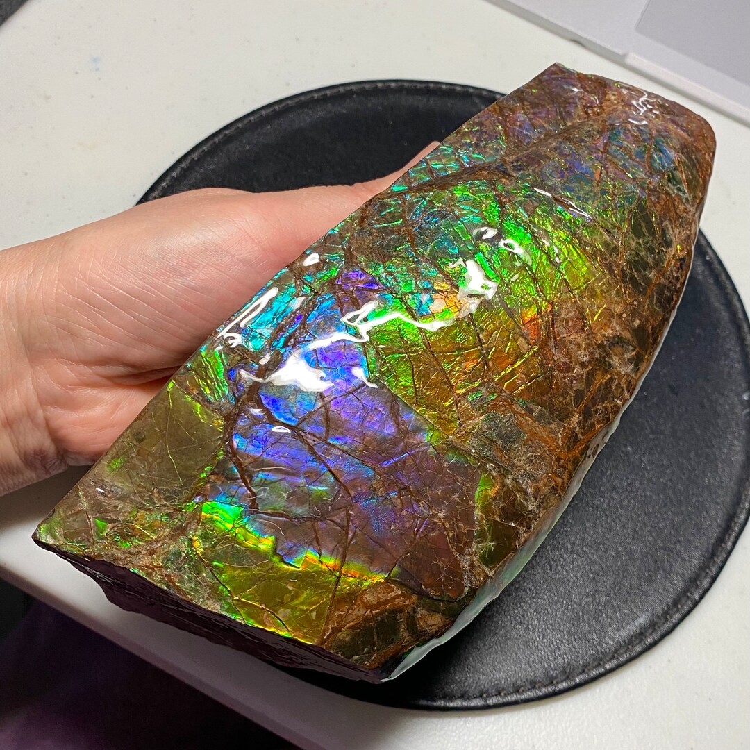 Canadian Ammolite Ammonite Double Side Specimen 180X83X67 Mm 1400 Grams Large 2901 - Etsy