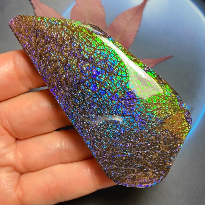 Canadian Ammolite Ammonite Freeform Gemstone 93X44X11 MM 89 Grams #3010 ...