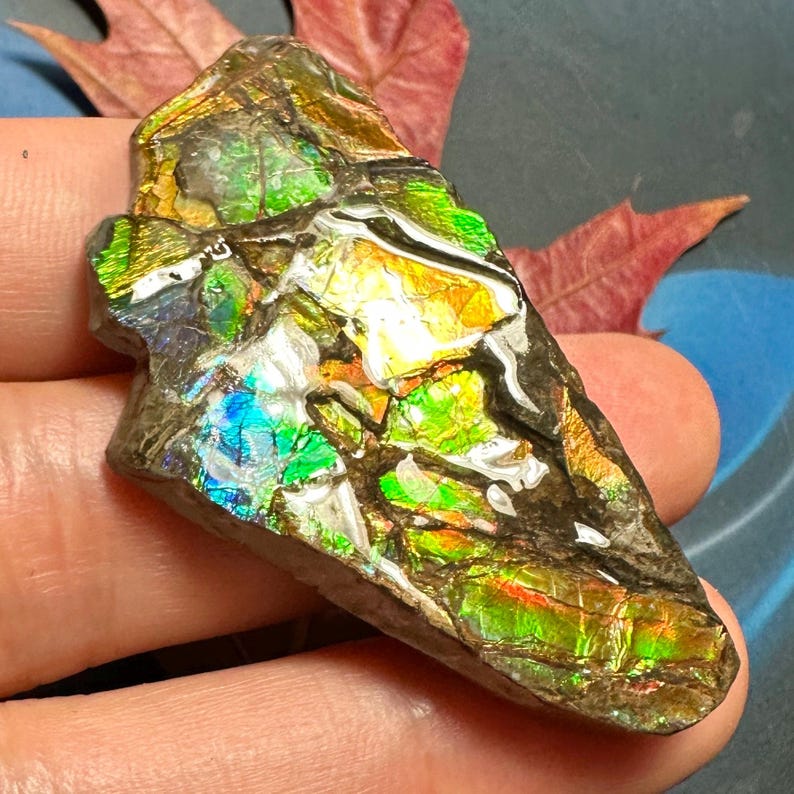 Iridescent Genuine Canadian Ammolite Brooch Pin Pendant Jewelry ...