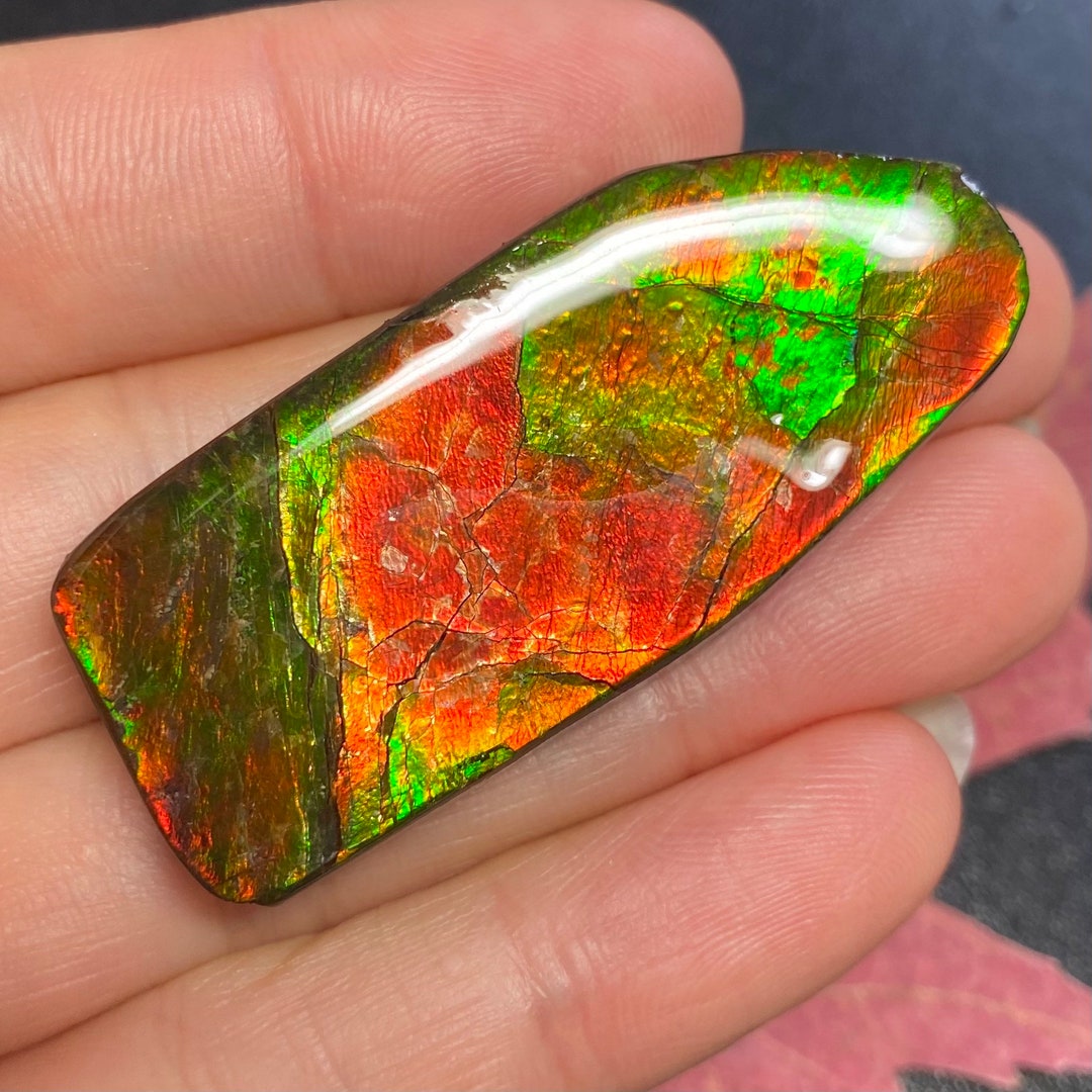 Canadian Ammonite Freeform Gemstone 51X22X7 MM 21 Grams #2872-46 - Etsy