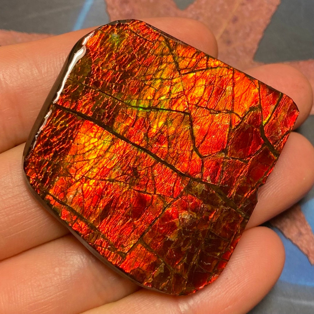 What is Ammolite? Discover Canada's Rare Rainbow Gemstone Natural ...