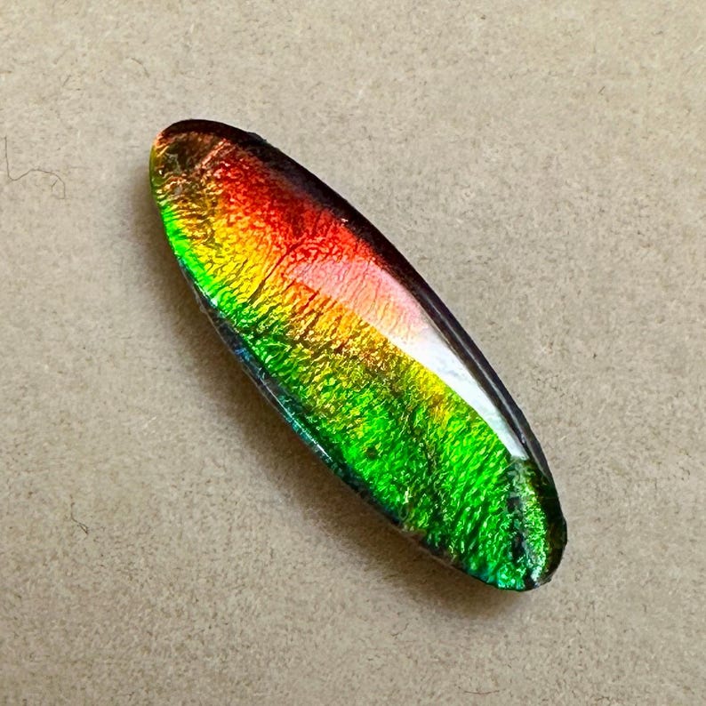 Rainbow Canadian Ammolite Cabochon, Rare Clover Flower Cut Ammolite ...