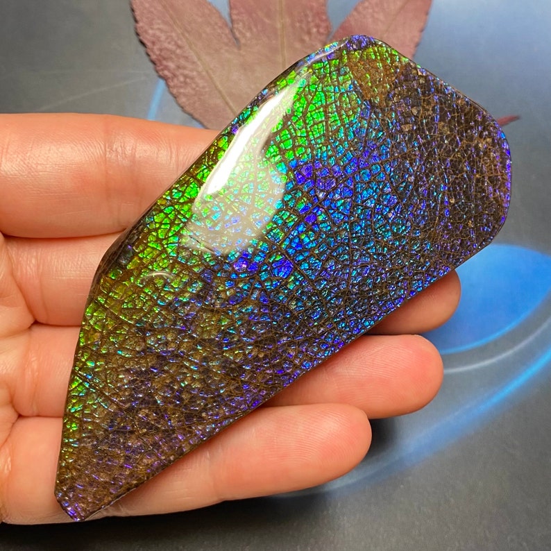 Canadian Ammolite Ammonite Freeform Gemstone 93X44X11 MM 89 Grams #3010 ...