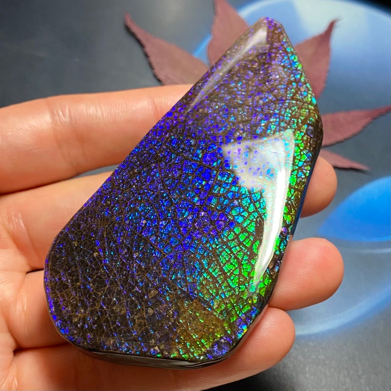 Canadian Ammolite Ammonite Freeform Gemstone 93X44X11 MM 89 Grams #3010 ...