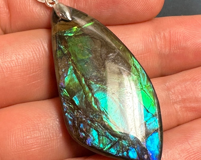 Authentic Canadian Ammonite Freeform Gemstone Pendant 43X21 Mm #3001-84 ...