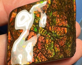 Canadian Ammonite Freeform Gemstone 83X43X15 Mm 97 Grams #2868-16 - Etsy