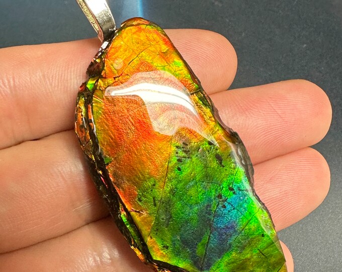 Authentic Canadian Ammonite Freeform Gemstone Pendant 53X27 Mm #3003-63 ...