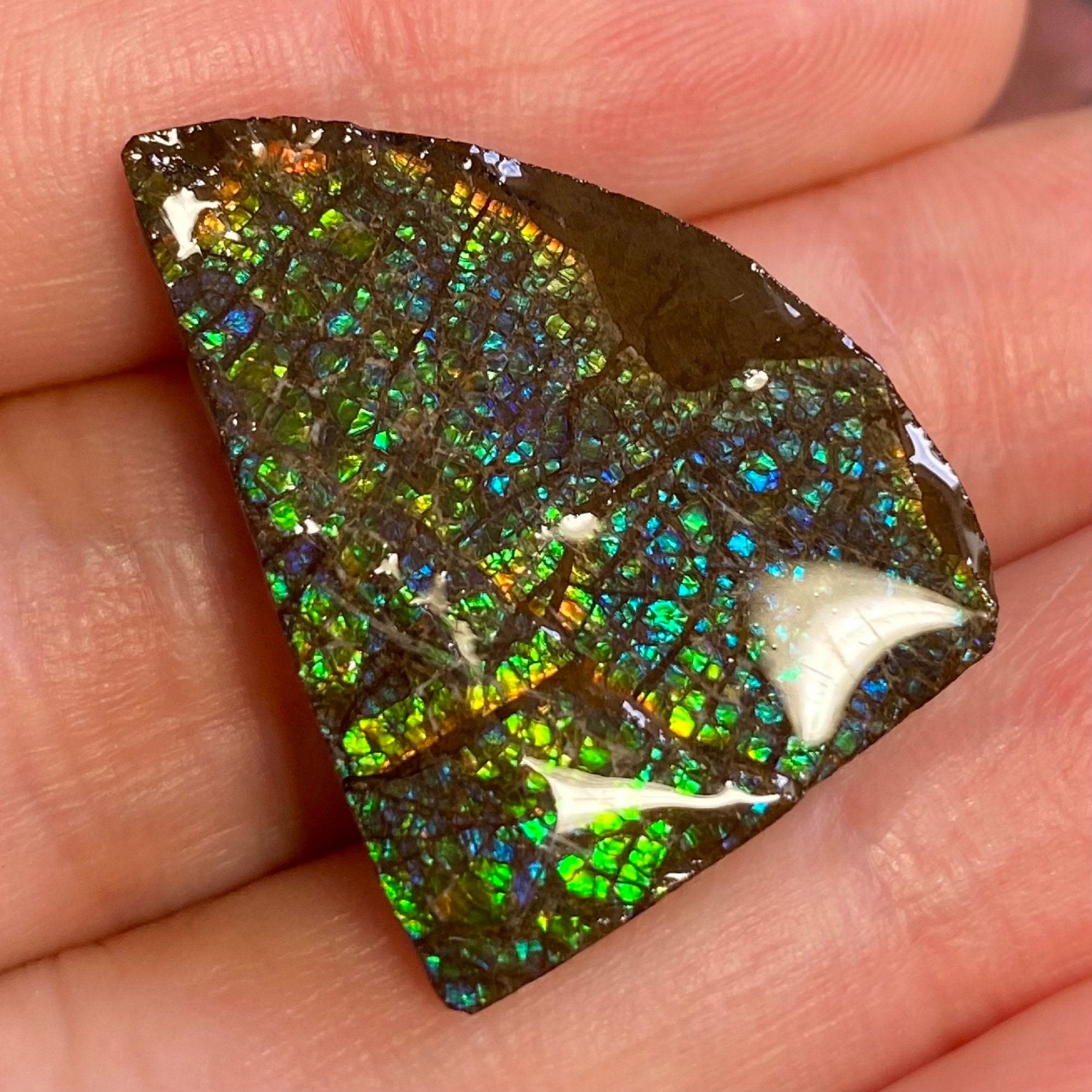 Gemstones Craft Supplies & Tools Canadian Ammonite Freeform Gemstone ...