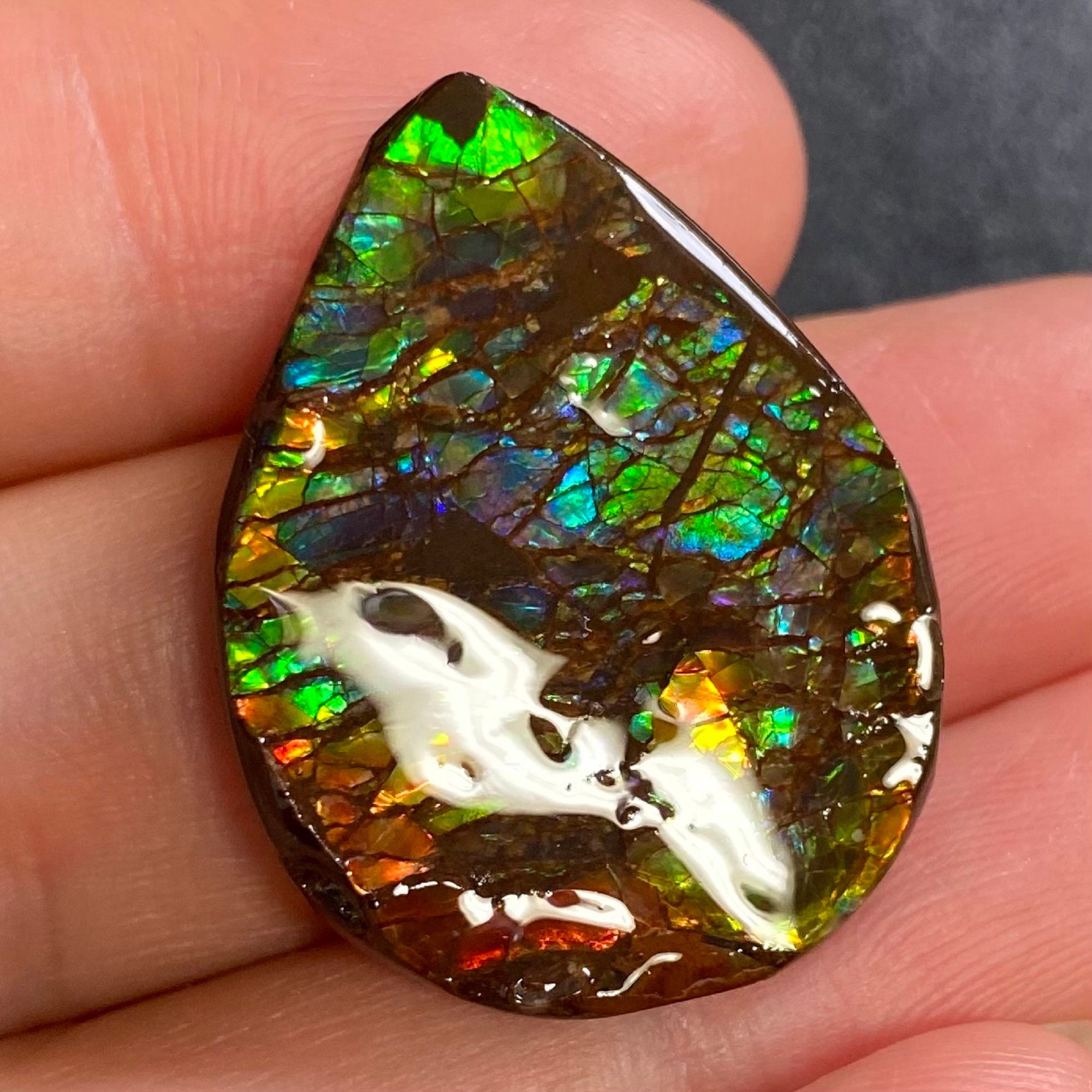 Gemstones Craft Supplies & Tools Canadian Ammonite Freeform Gemstone ...