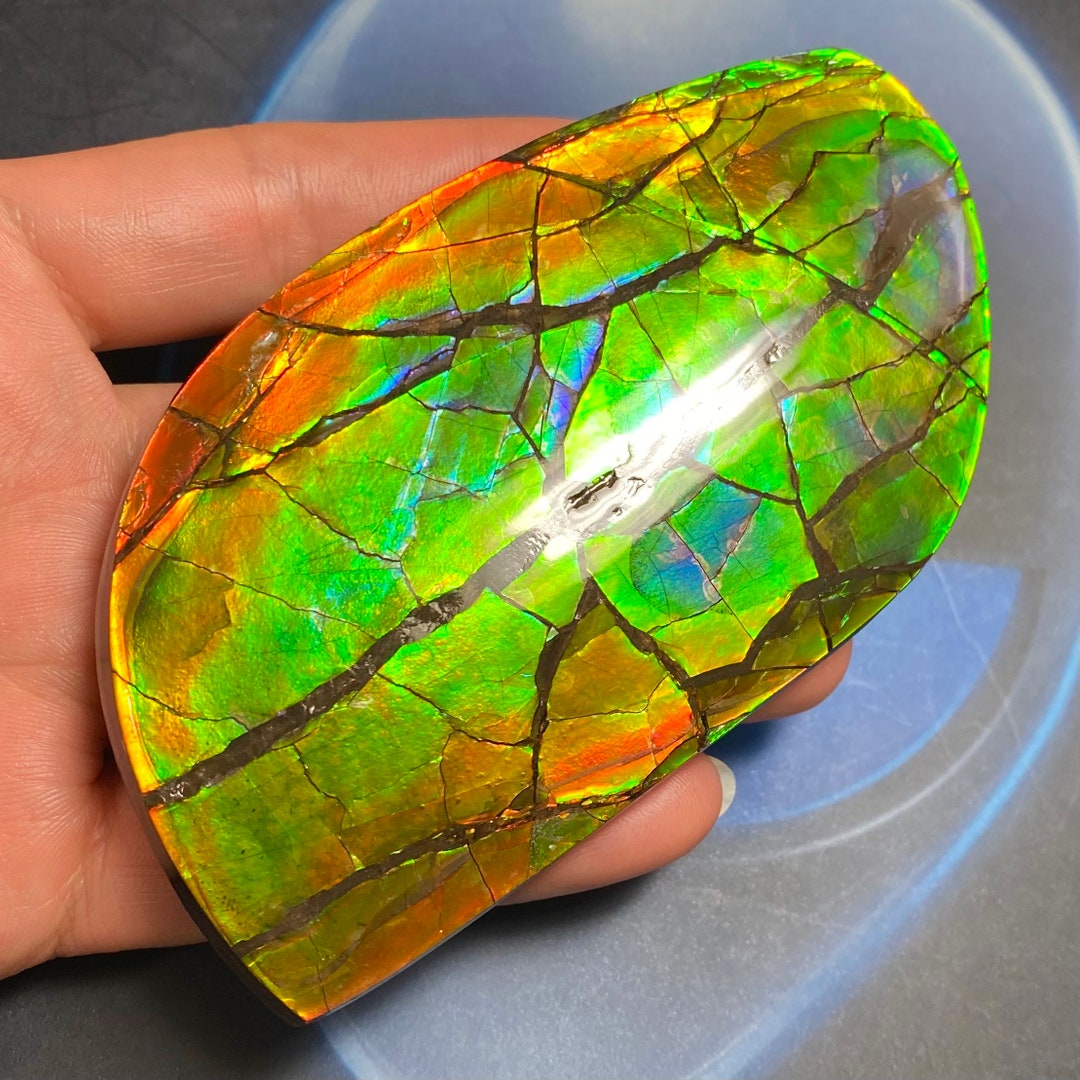 Canadian Ammolite Ammonite Freeform Gemstone 108X60X14 MM 194 Grams ...