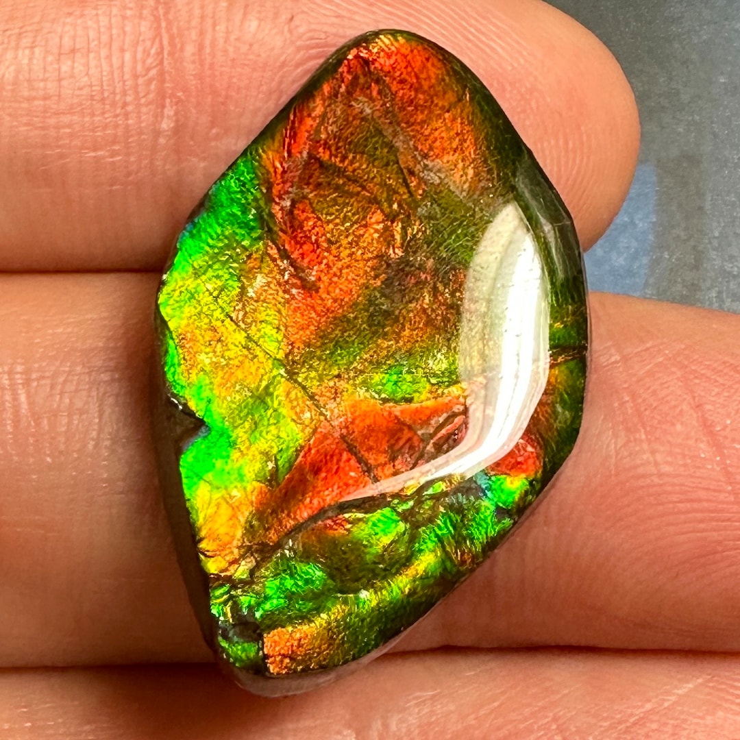 Canadian Natural Ammonite Ammolite Gemstone 29X18 Mm 3006-91 - Etsy