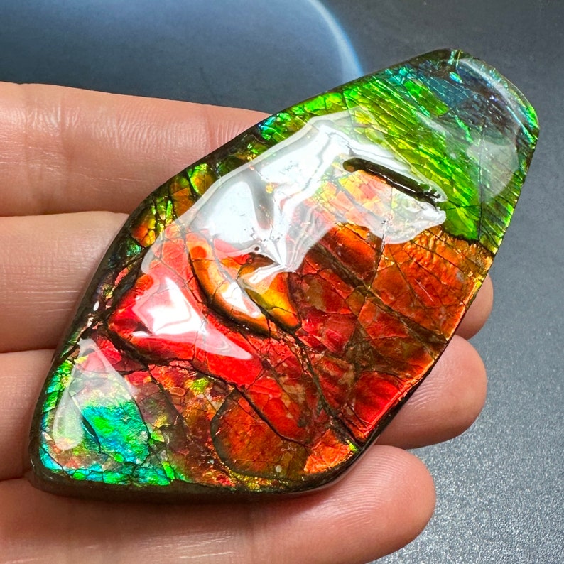 Canadian Ammolite Ammonite Freeform Gemstone 88X40X8 MM 58 Grams #2871 ...