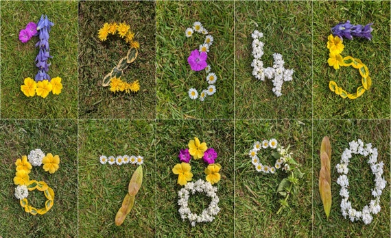 Spring Nature Inspired Counting Cards to Learn Numbers 1 10 | Etsy