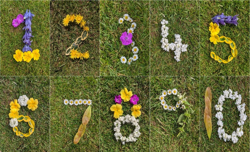 Spring Nature Inspired Counting Cards to Learn Numbers 1 - 10 Instant ...