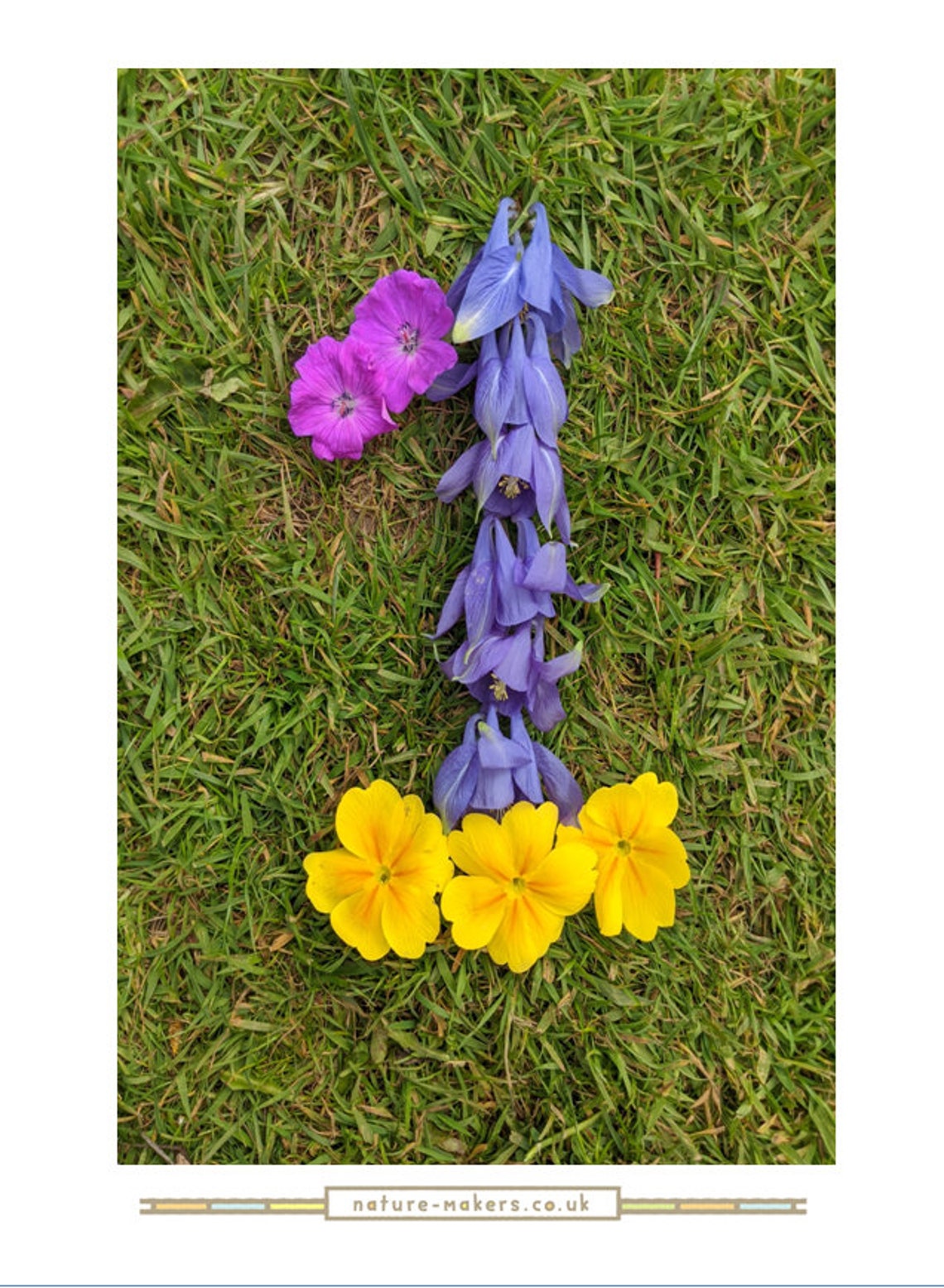 Spring Nature Inspired Counting Cards to Learn Numbers 1 - 10 Instant ...
