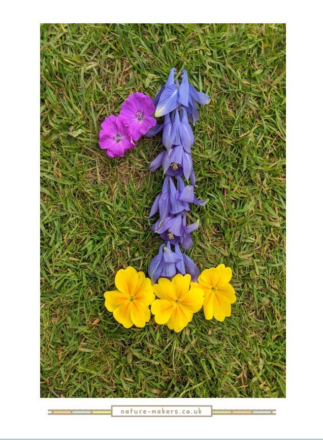 Spring Nature Inspired Counting Cards to Learn Numbers 1 - 10 Instant ...