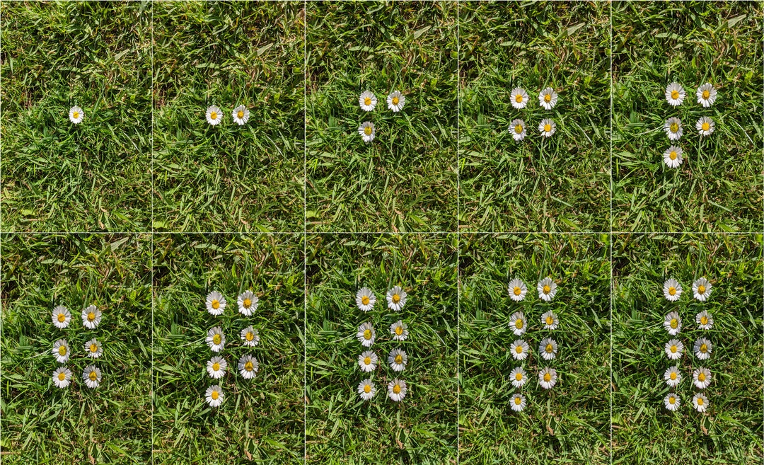 Spring Daisy Counting Cards to Learn Numbers 1 - 10 - Instant Download ...