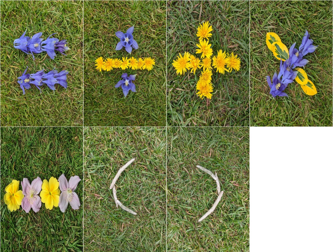 Spring Nature Inspired Math Cards: Addition, Subtraction, Divide ...