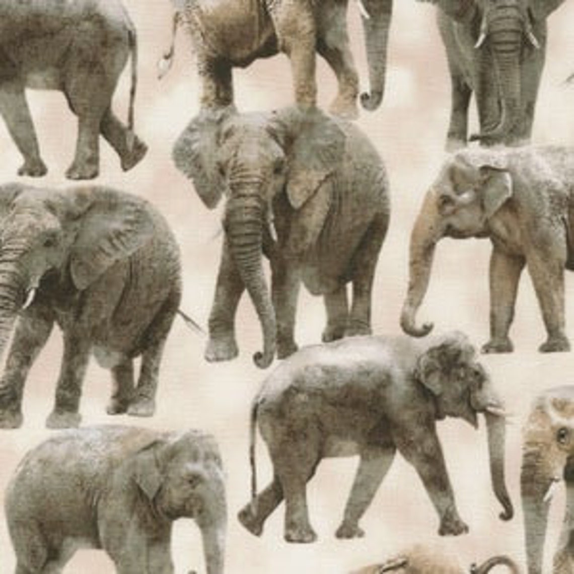 Women's Scrub Hat, Head Covering, Chemo Cap~ Elephants! - Etsy