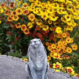 Moon Gazing Hare small Stone Garden Ornament - Etsy UK