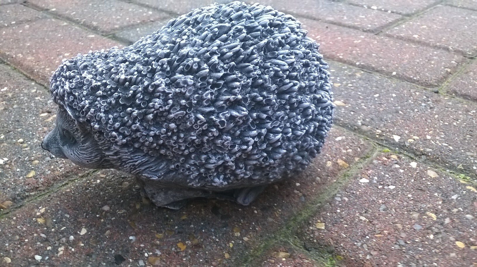 Small Hedgehog Quality Detail and finish Stone Garden | Etsy